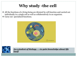 cell biology - (1).pptx