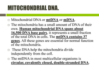 Mitochondria | PPTX