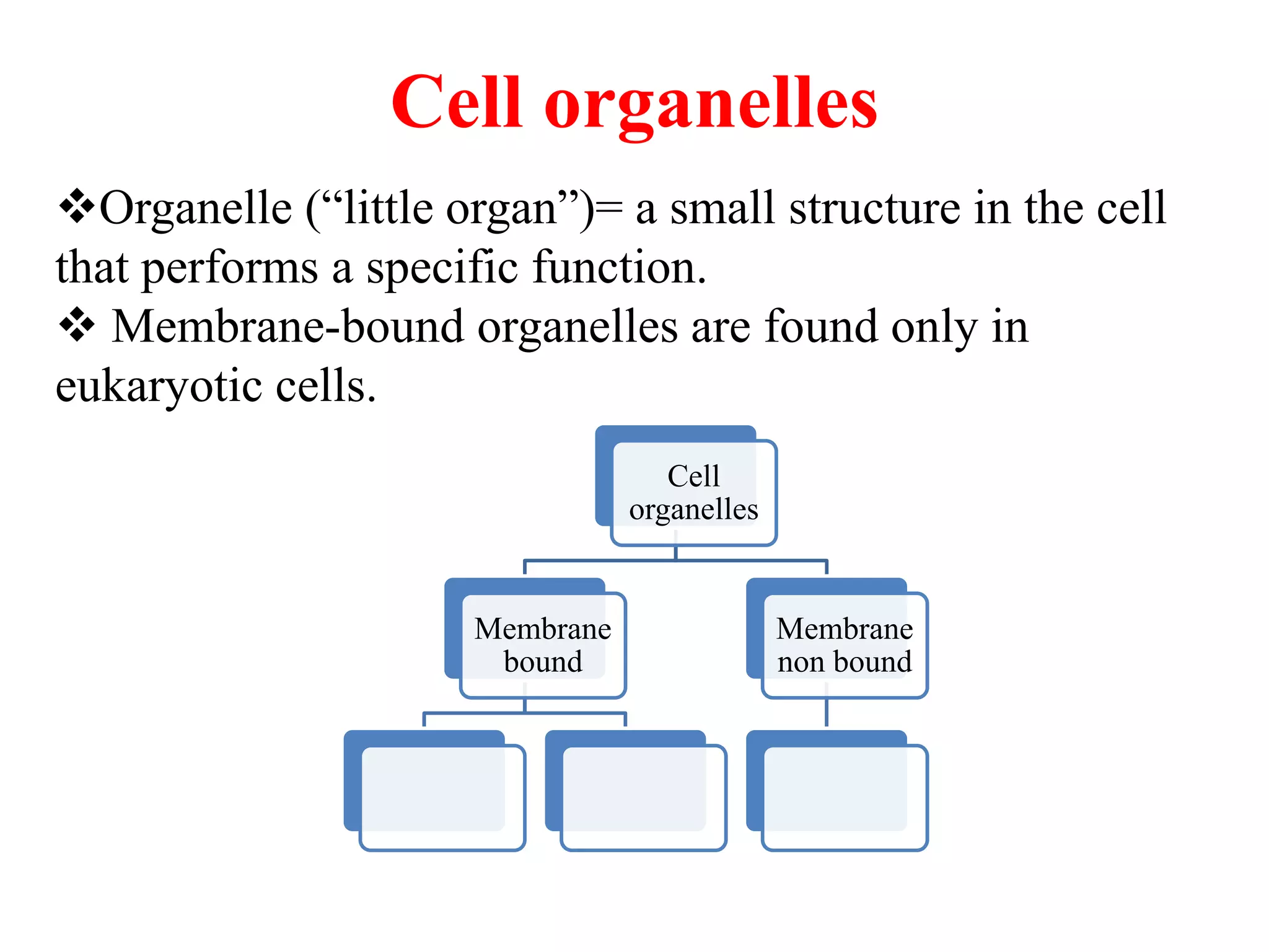 Cell biology | PPTX