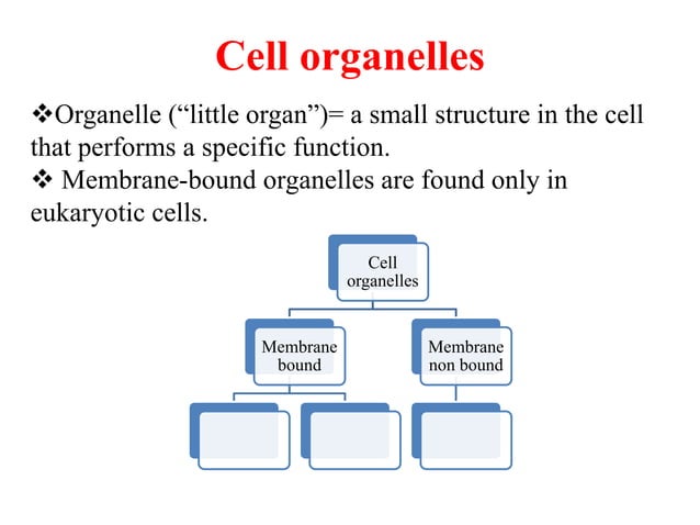 Cell biology | PPTX