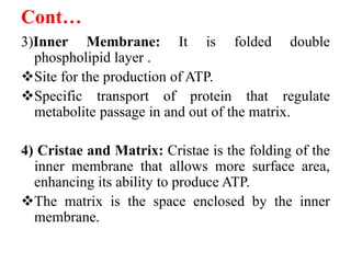 Cell biology | PPTX