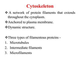 Cell biology | PPTX