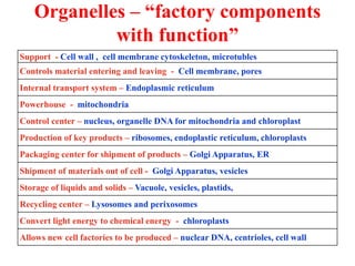 Cell biology | PPTX