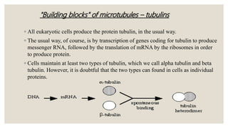 Cell biology. | PPTX