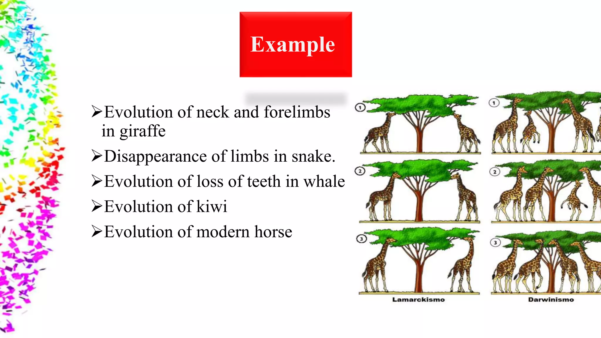 Lamarck and Darwin theory presentation | PPTX