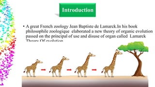 Jean Baptiste Lamarck Theory