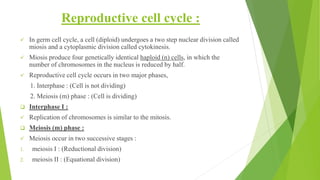 Cell Biology | PDF