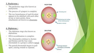 Cell Biology | PDF