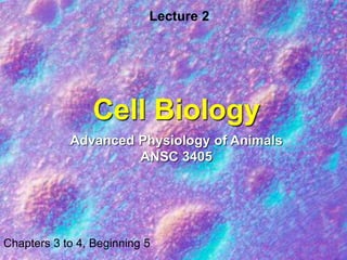 CellBiology.ppt