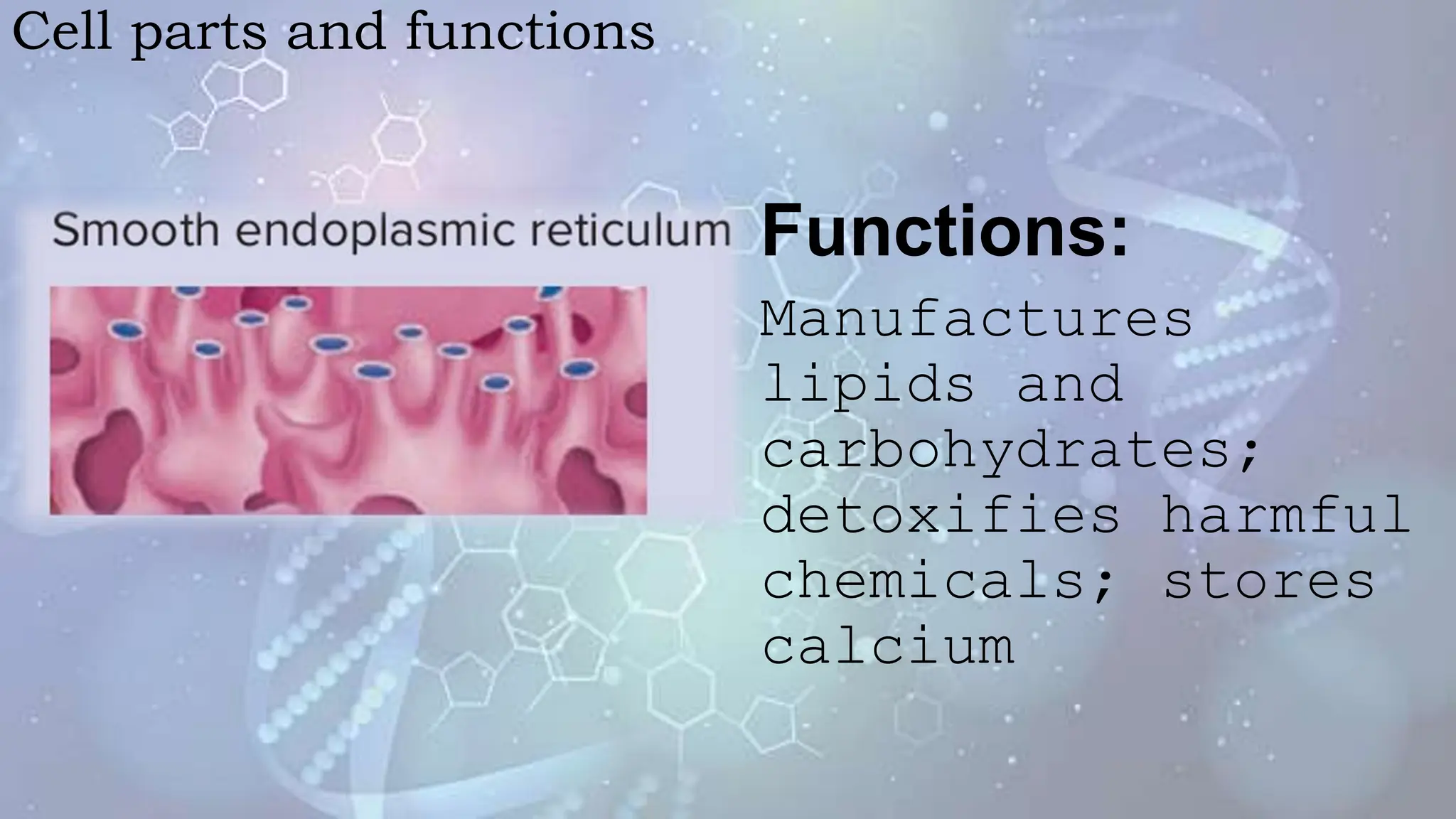 Anatomy and physniology: CELL BIOLOGY.pptx