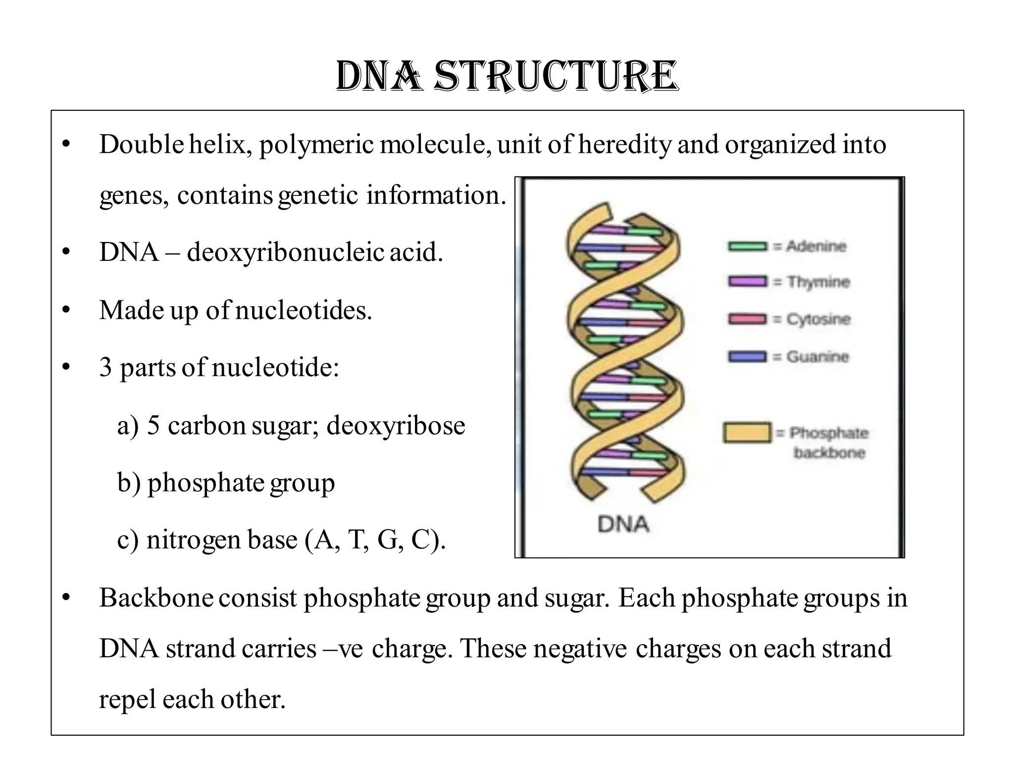 Cot curve, melting temperature, unique and repetitive DNA | PDF