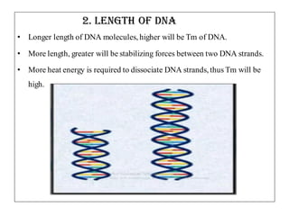 Cot curve, melting temperature, unique and repetitive DNA | PDF
