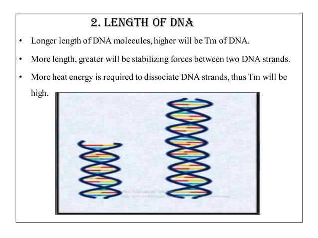 Cot curve, melting temperature, unique and repetitive DNA | PDF ...
