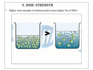 Cot curve, melting temperature, unique and repetitive DNA | PDF