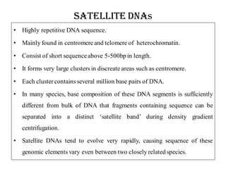 Cot curve, melting temperature, unique and repetitive DNA | PDF