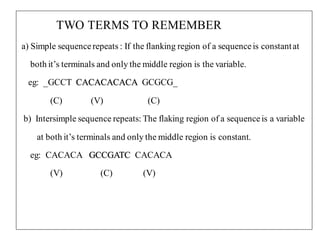 Cot curve, melting temperature, unique and repetitive DNA | PDF