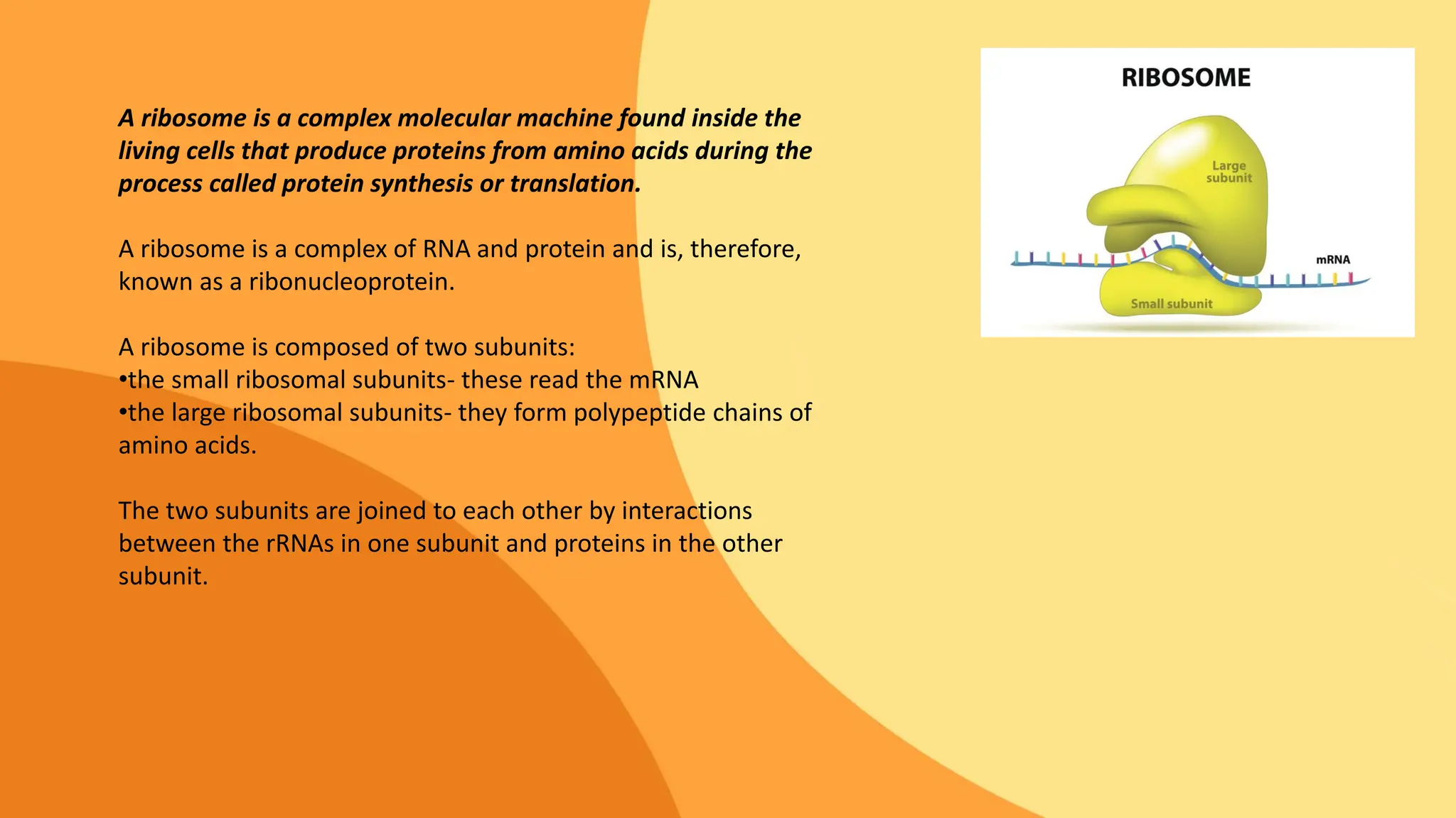 cell biology (plant and animal) for beginners.pdf