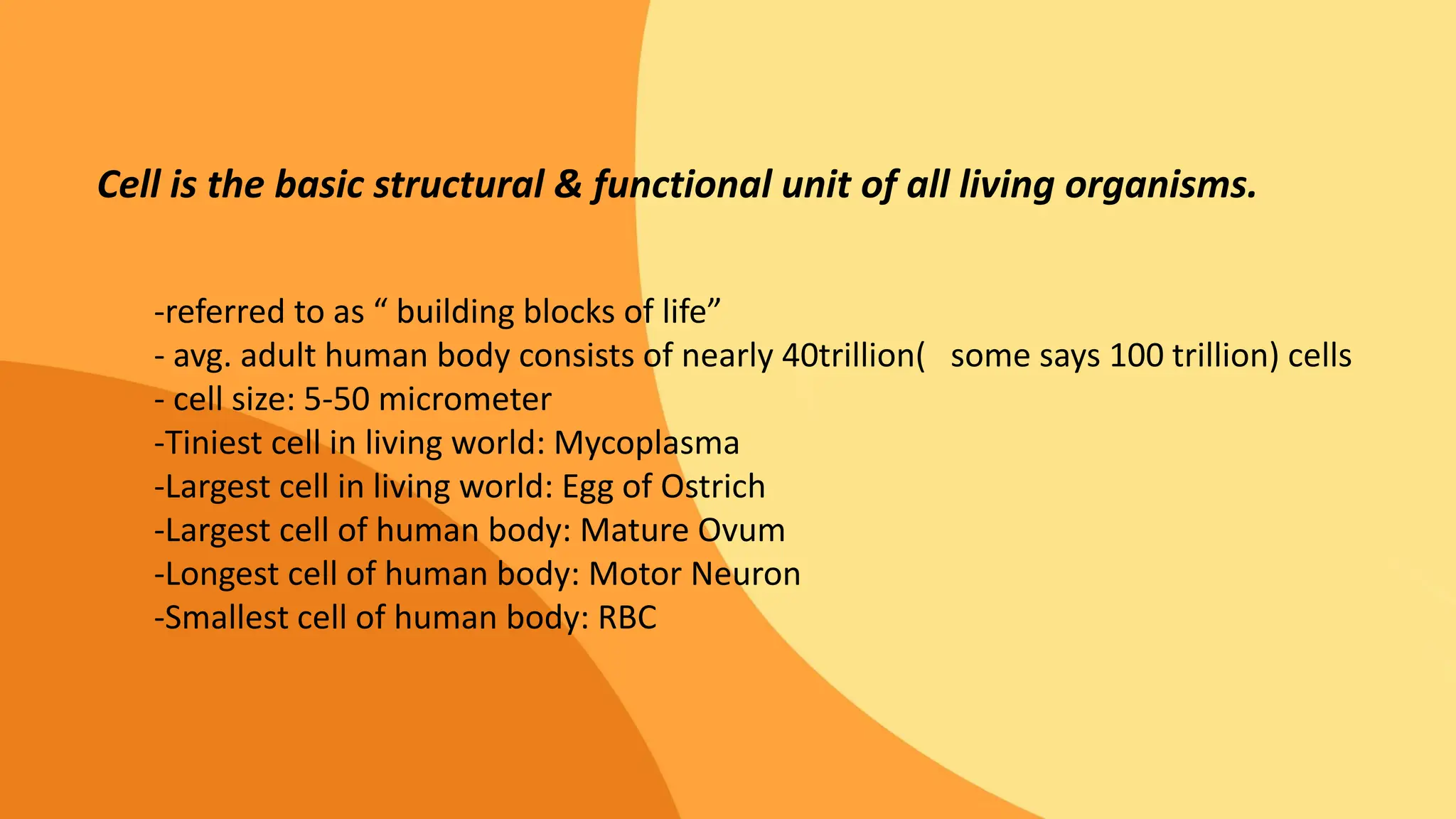 cell biology (plant and animal) for beginners.pdf