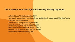 cell biology (plant and animal) for beginners.pdf