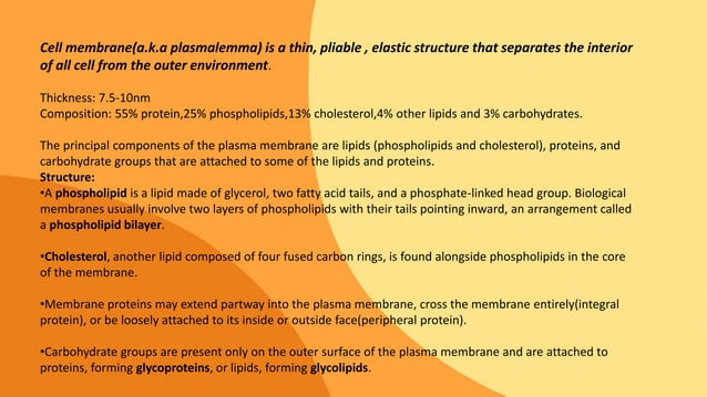 cell biology (plant and animal) for beginners.pdf