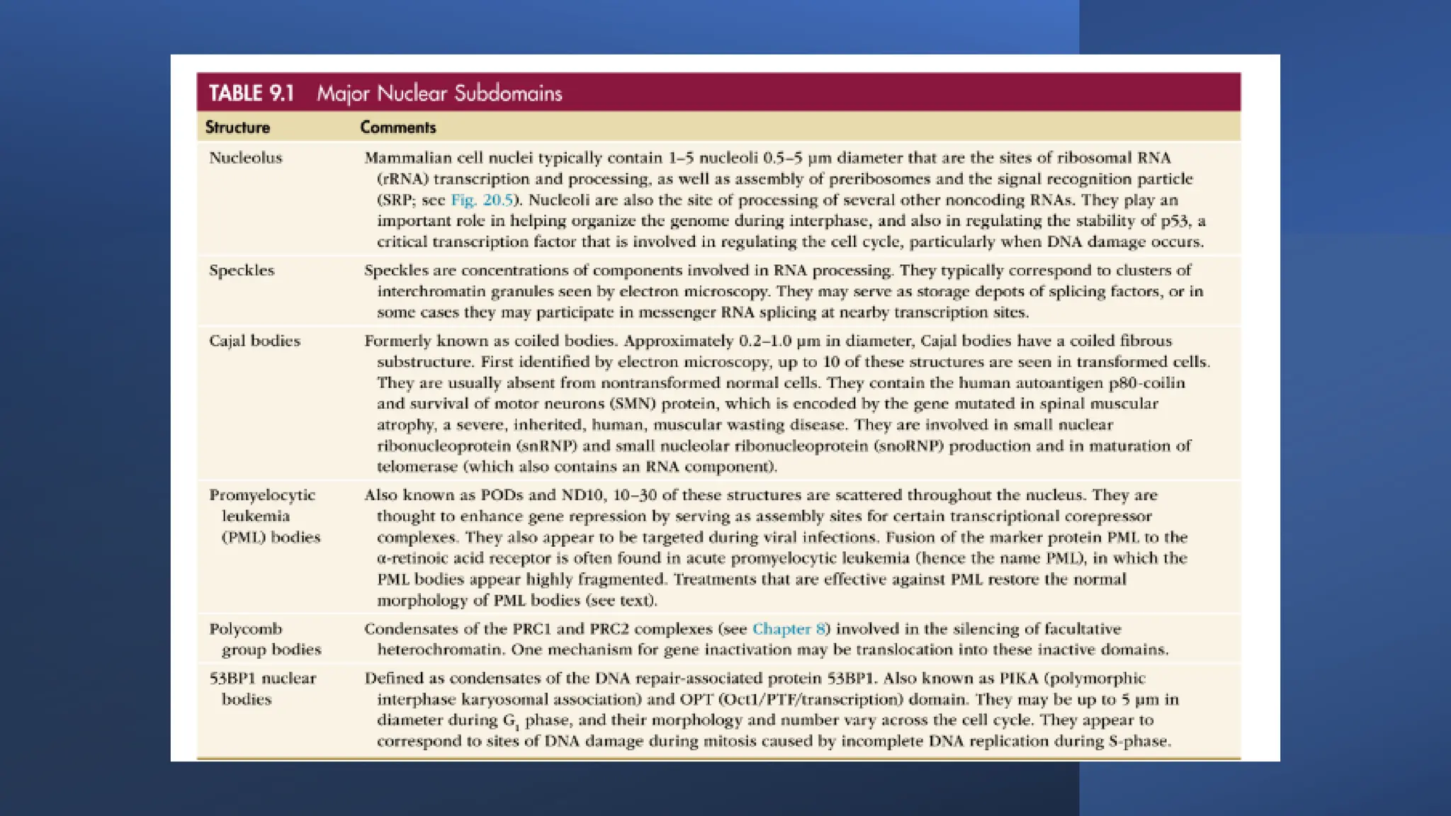 Cell biology: basics and knowledge study.pdf