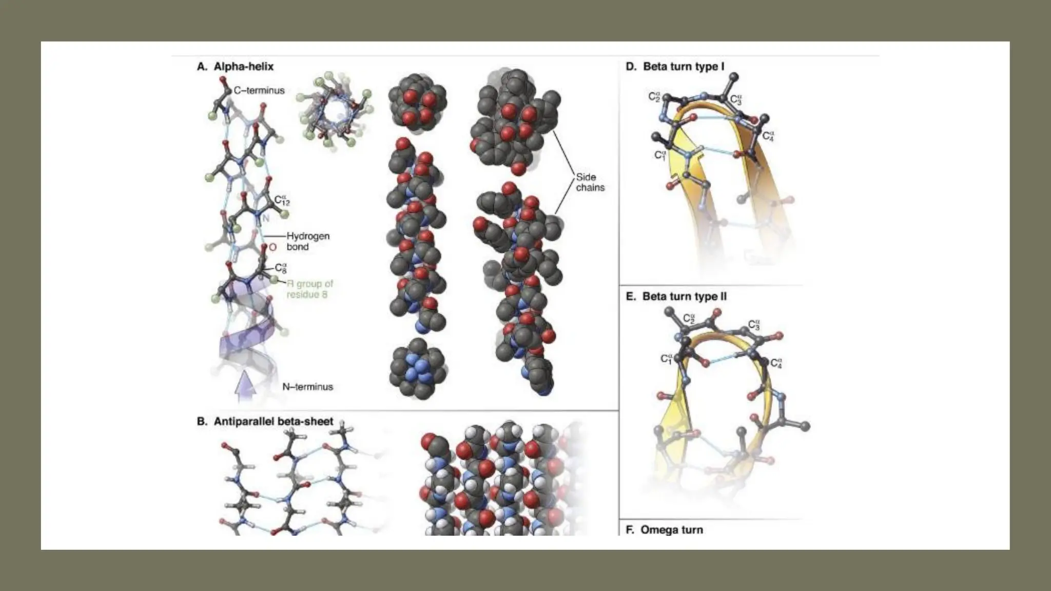 Cell biology: basics and knowledge study.pdf
