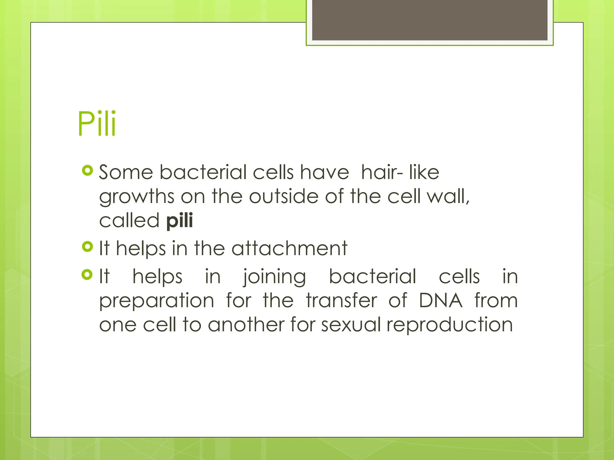 Cell Biology presentation for IBDP Biology HL | PPTX