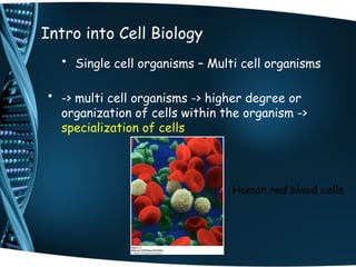 Introduction to cell biology and cell structure.pptx