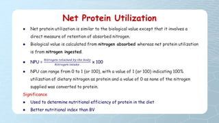 quality of protein , Net Protein utilisation | PPTX