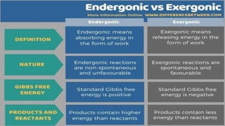 Cell Biology - Energy and Metabolism - Copy.pptx