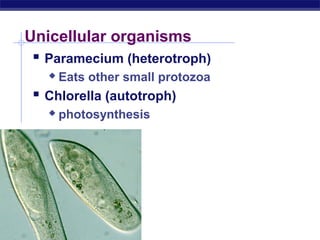 Introduction to Cell Biology and Stem Cells | PPT