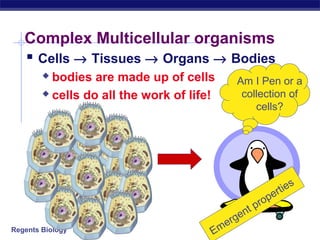 Introduction to Cell Biology and Stem Cells | PPT