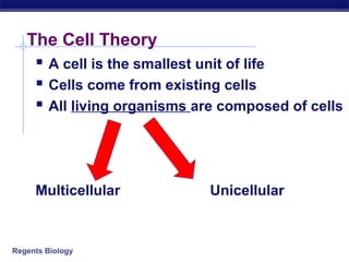 Introduction to Cell Biology and Stem Cells | PPT