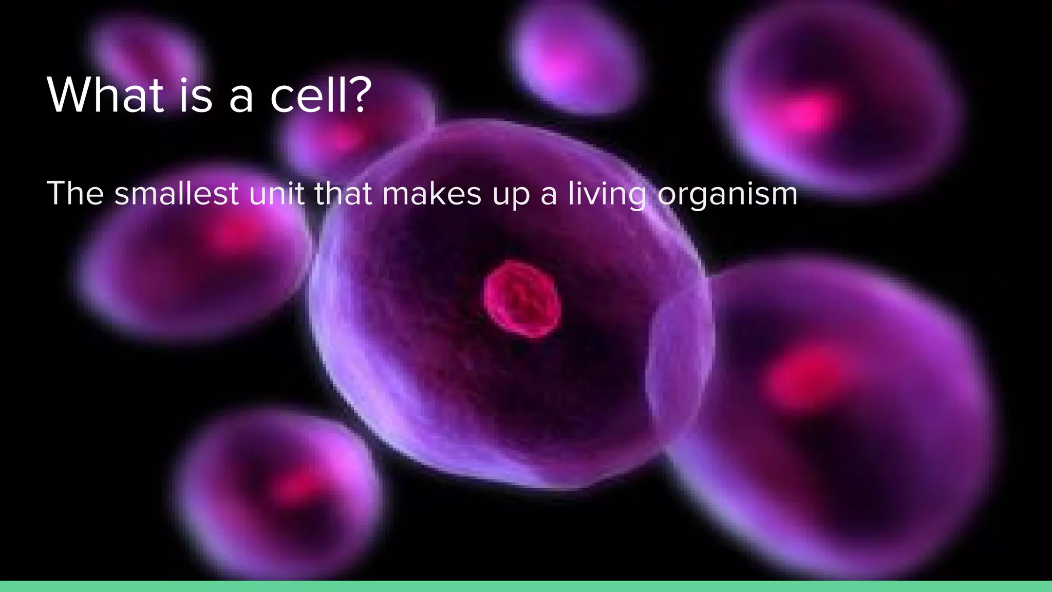 Cell biology 6th grade science | PDF