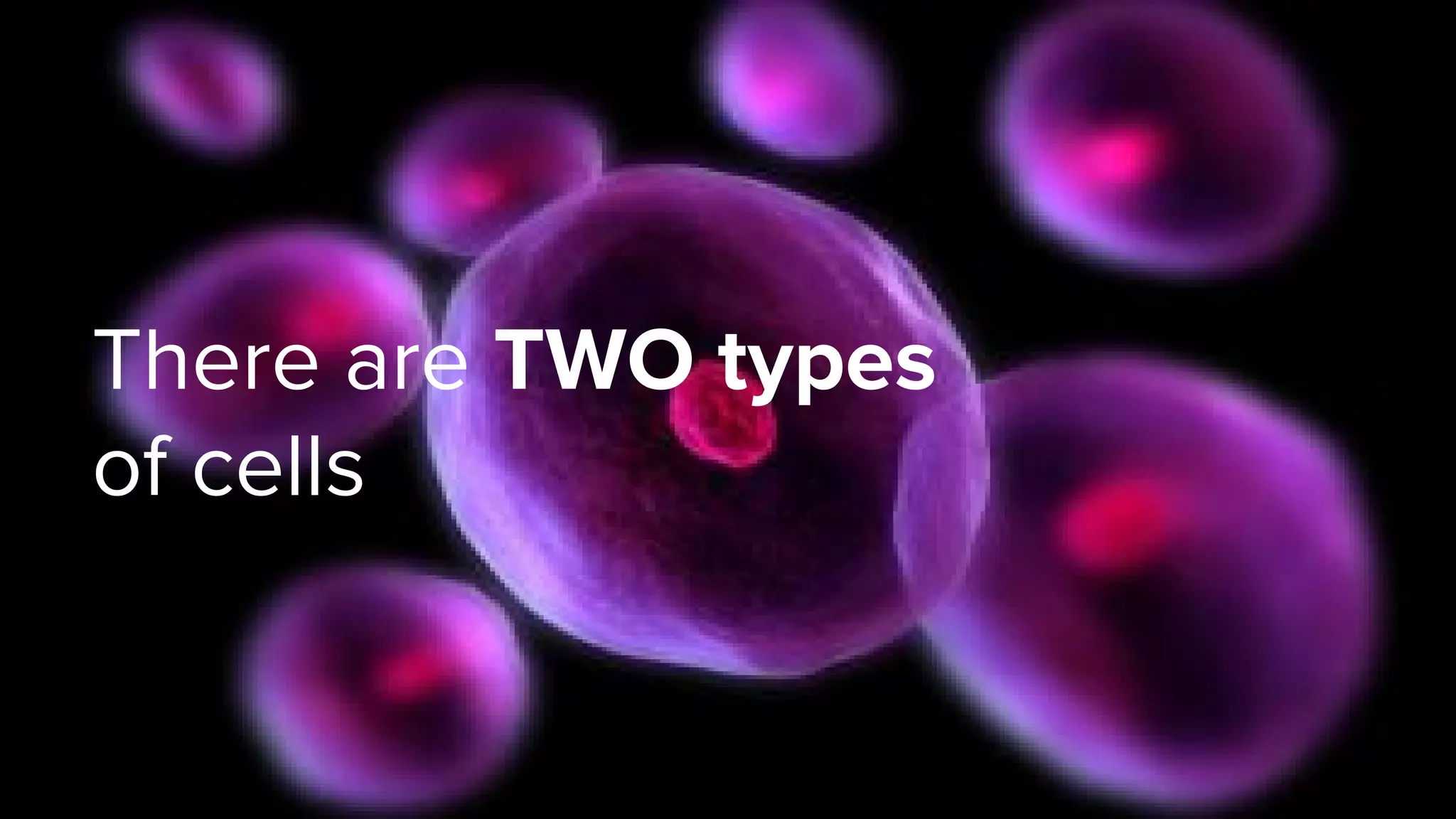 Cell biology 6th grade science | PDF