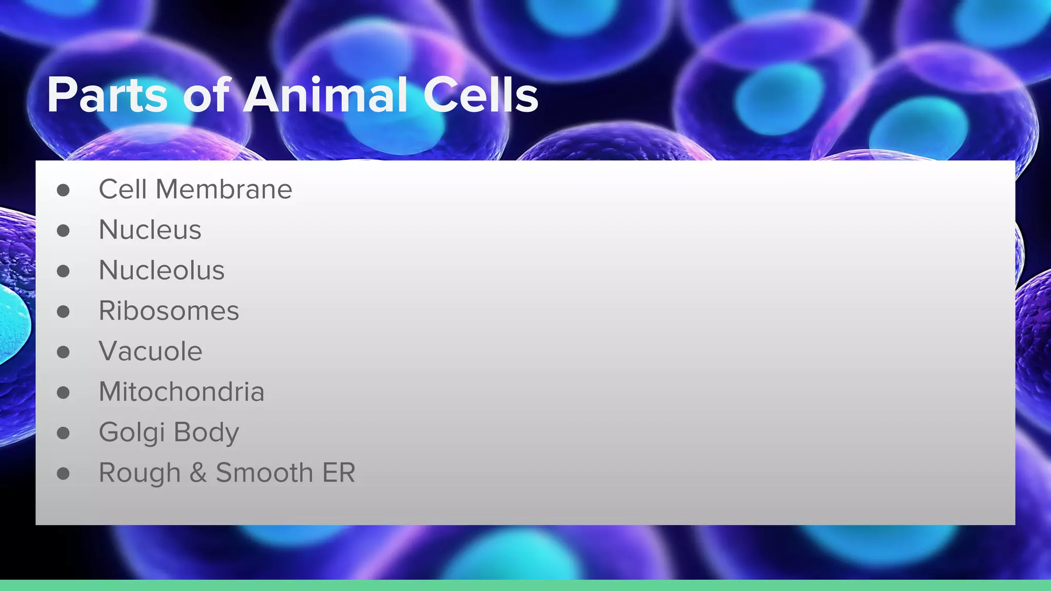 Cell biology 6th grade science | PDF