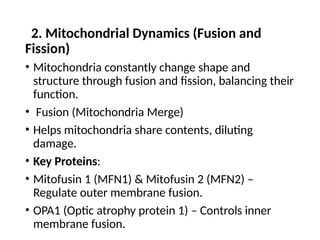 The molecular mechanisms of mitochondrial quality control and their ...
