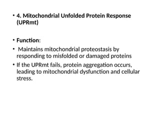 The molecular mechanisms of mitochondrial quality control and their ...