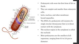 cell biology class__ introduction to cell biology and histroy.pptx