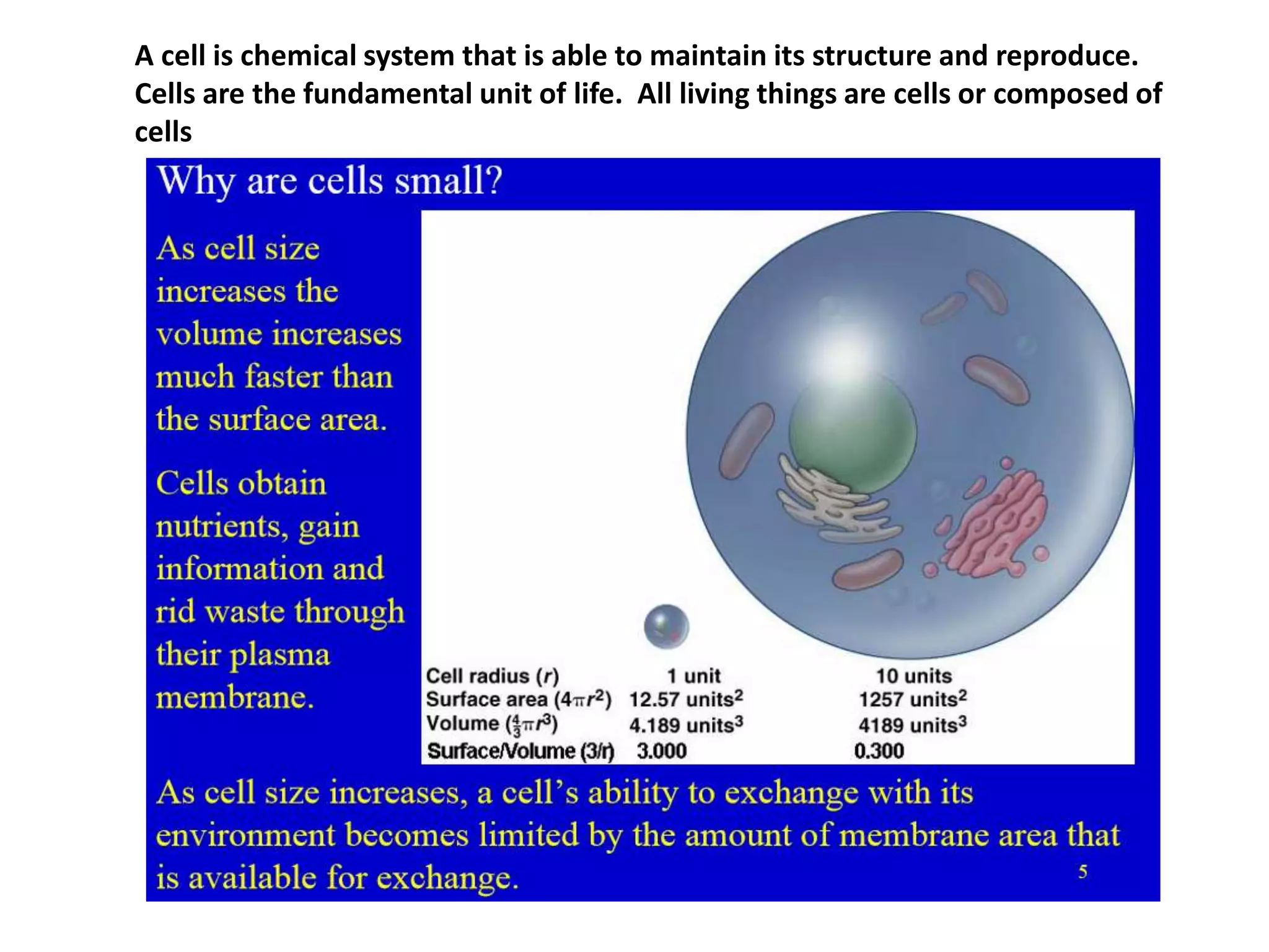 Cell Biology class 1(2).pptx | Chemistry | Science