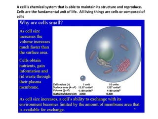 Cell Biology class 1(2).pptx | Chemistry | Science