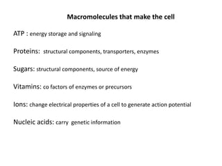Cell Biology class 1(2).pptx | Chemistry | Science