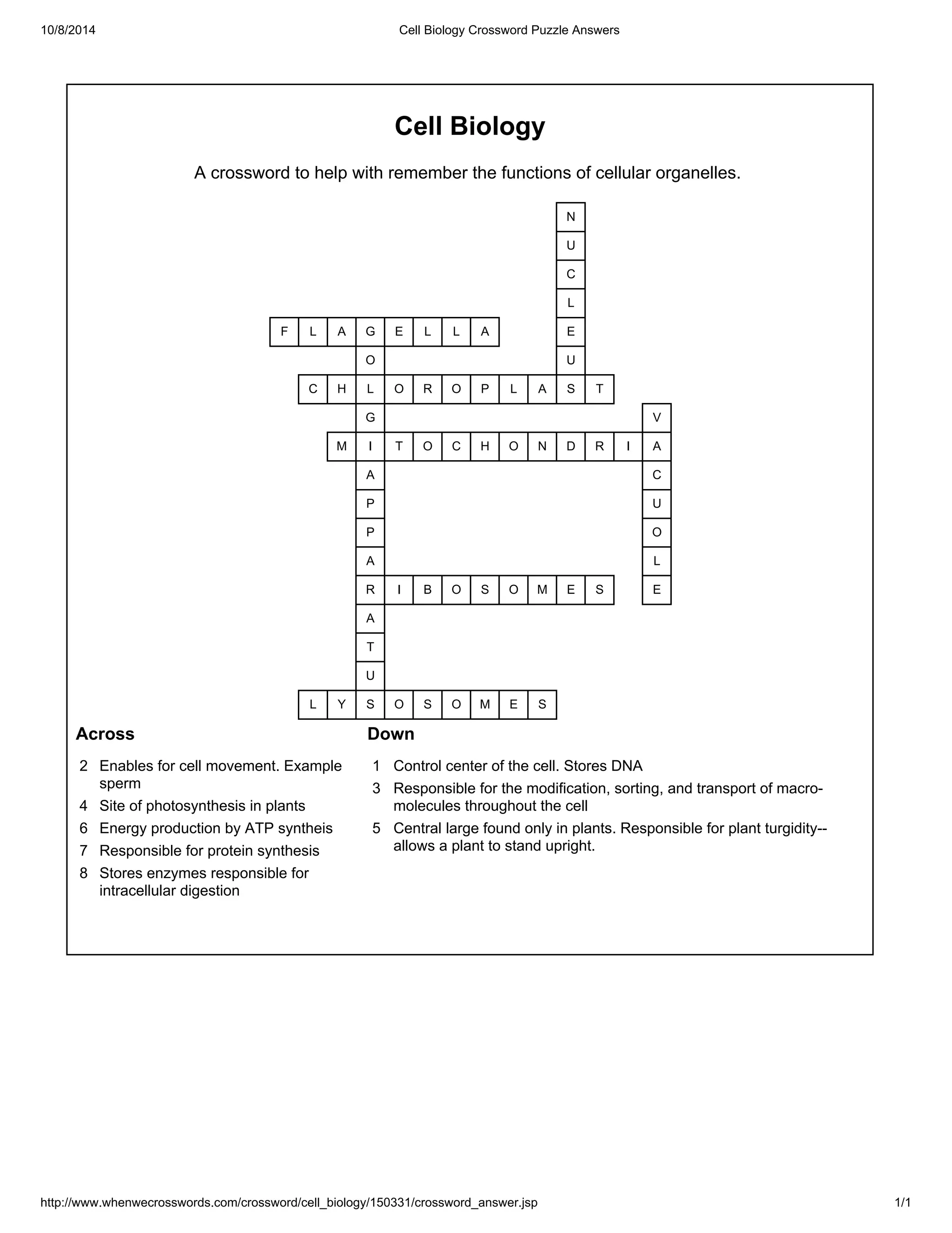Cell biology crossword puzzle answers | PDF