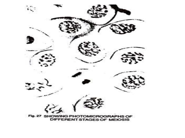 Cell biology experiments | PPTX