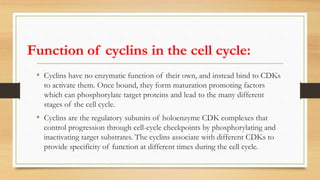 cell biology Intro.pptx