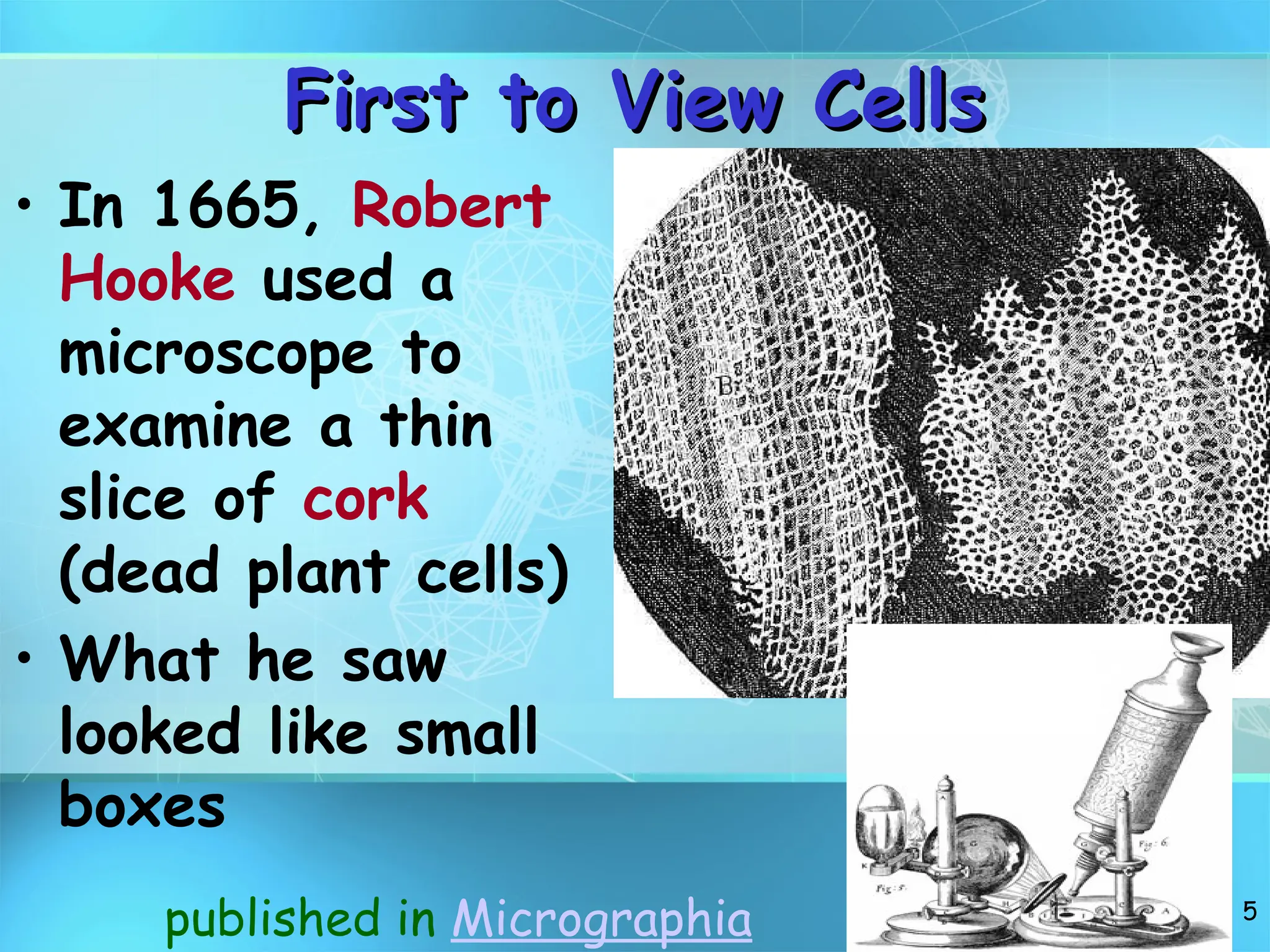 BASIC STRUCTURE OF TYPICAL ANIMAL CELL & TYPES | PPT