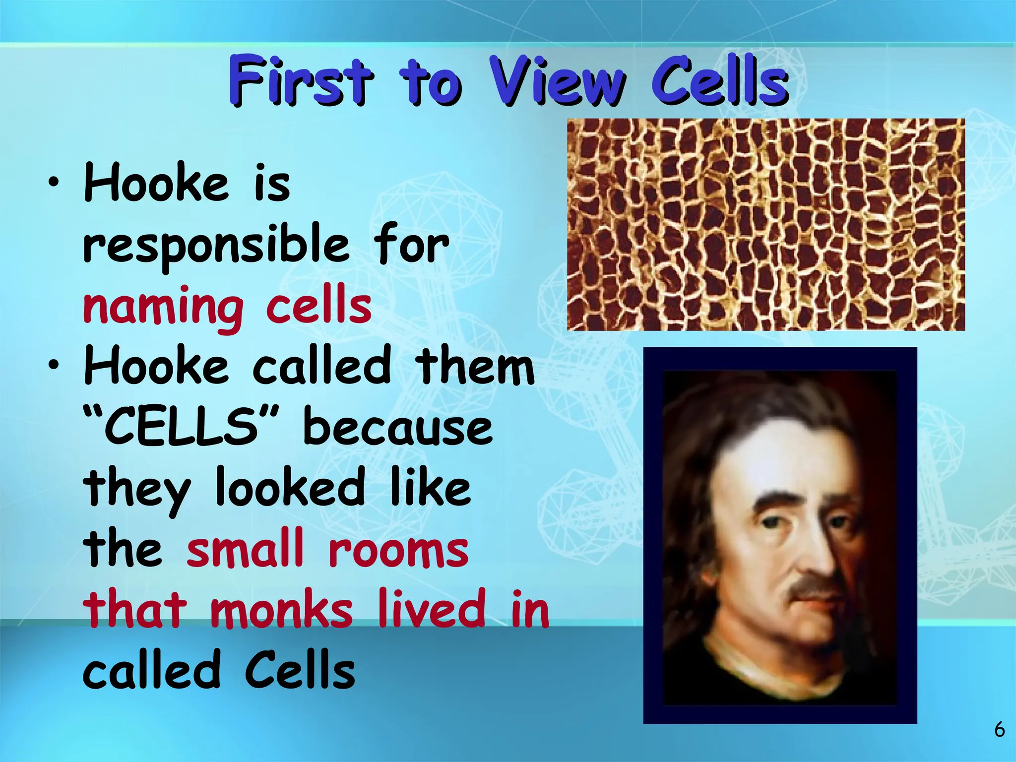 BASIC STRUCTURE OF TYPICAL ANIMAL CELL & TYPES | PPT