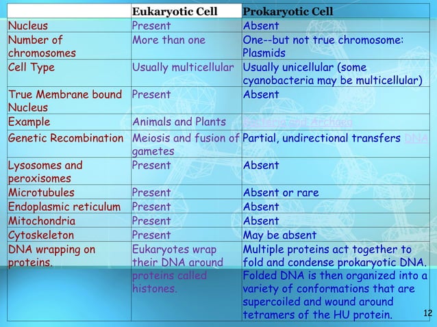 BASIC STRUCTURE OF TYPICAL ANIMAL CELL & TYPES | PPT
