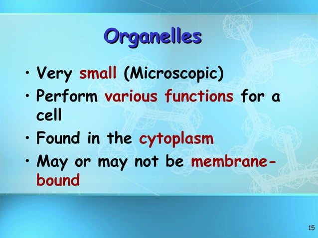 BASIC STRUCTURE OF TYPICAL ANIMAL CELL & TYPES | PPT