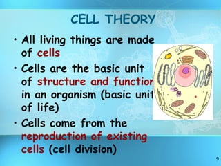 BASIC STRUCTURE OF TYPICAL ANIMAL CELL & TYPES | PPT
